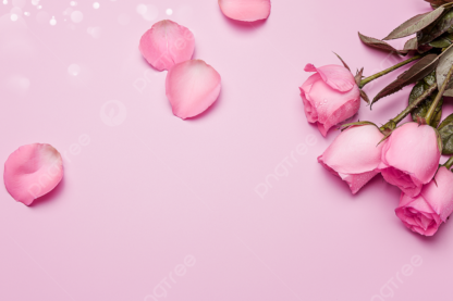 Homepage - helenabeautyandspa.com.au